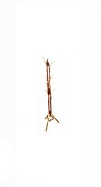 PERCHA VERTICAL - Camaguey EN